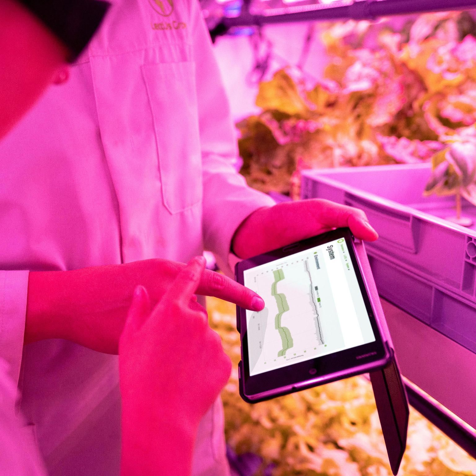 Products - Black Earth